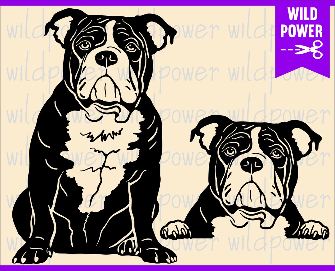 AMERICAN BULLY Svg,american Bully Dog Svg,american Bully Dog Files ...