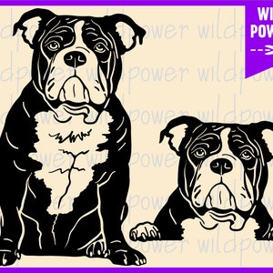 AMERICAN BULLY Svg,american Bully Dog Svg,american Bully Dog Files ...