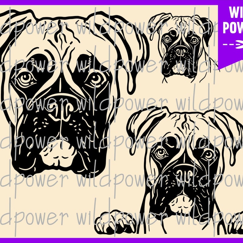 Boxer Dog Decal - Etsy