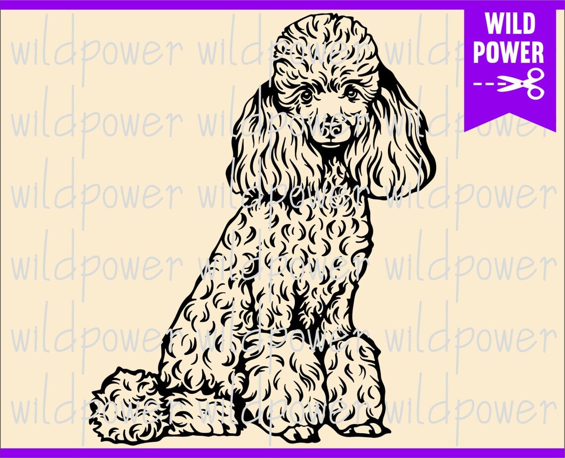 Poodle Svgpoodle Shirtpoodle Svg Files for Cricutpoodle - Etsy