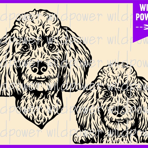 Poodle Svg - Etsy