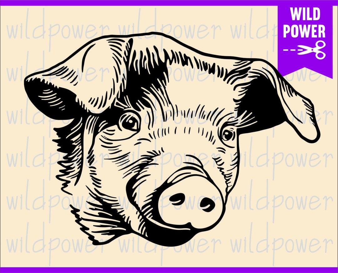 Porc svg visage drôle, Pig Vector, Pig Clipart, Pig Shirt, Pig ...