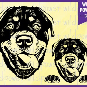 Rottweiler Svg, Dog Svg Cricut, Rott Vector, Rottie Clipart, Rottweiler ...