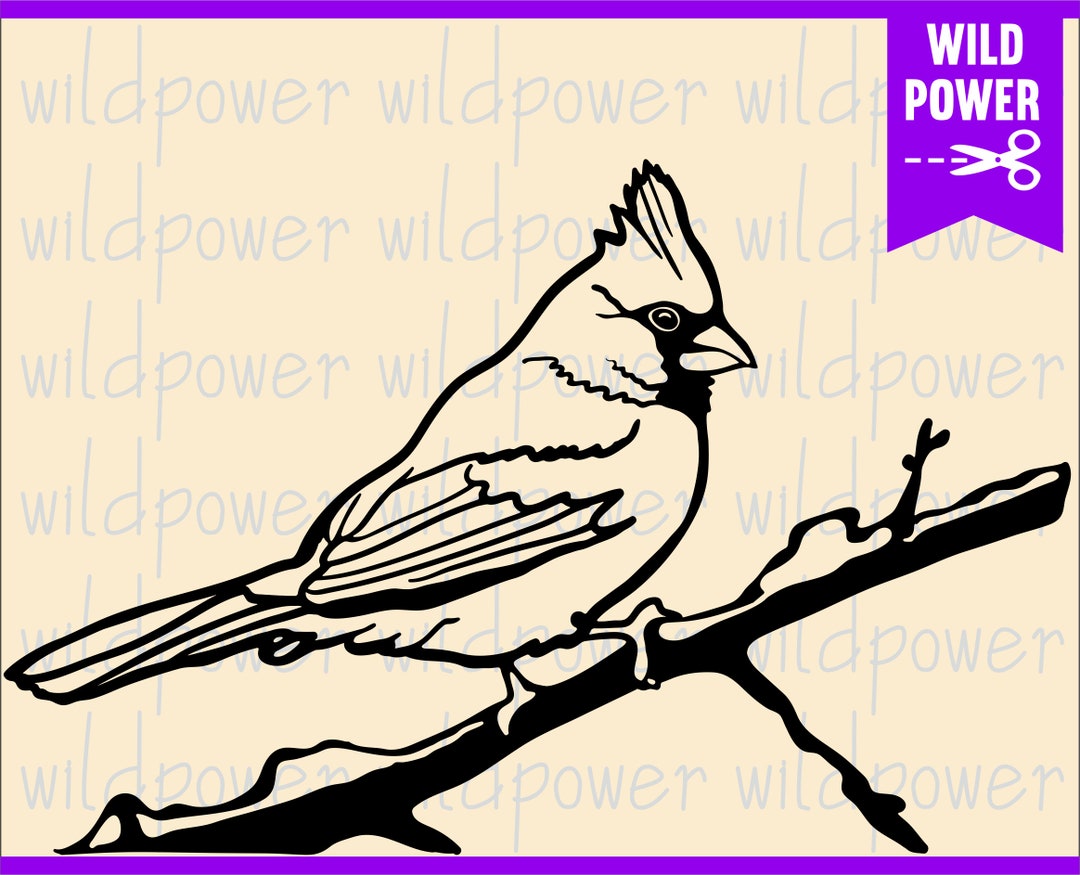 Cardinal Svg,cardinal Layered Svg, Cardinal Clipart,cardinal Cut Files ...