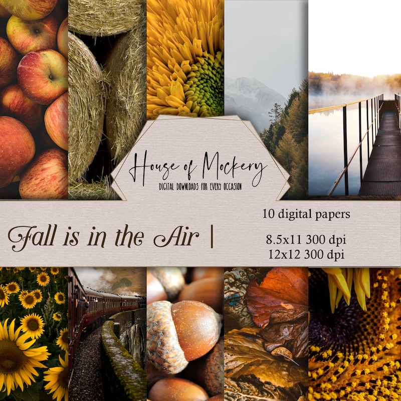 Fall Scrapbook Paper - Etsy