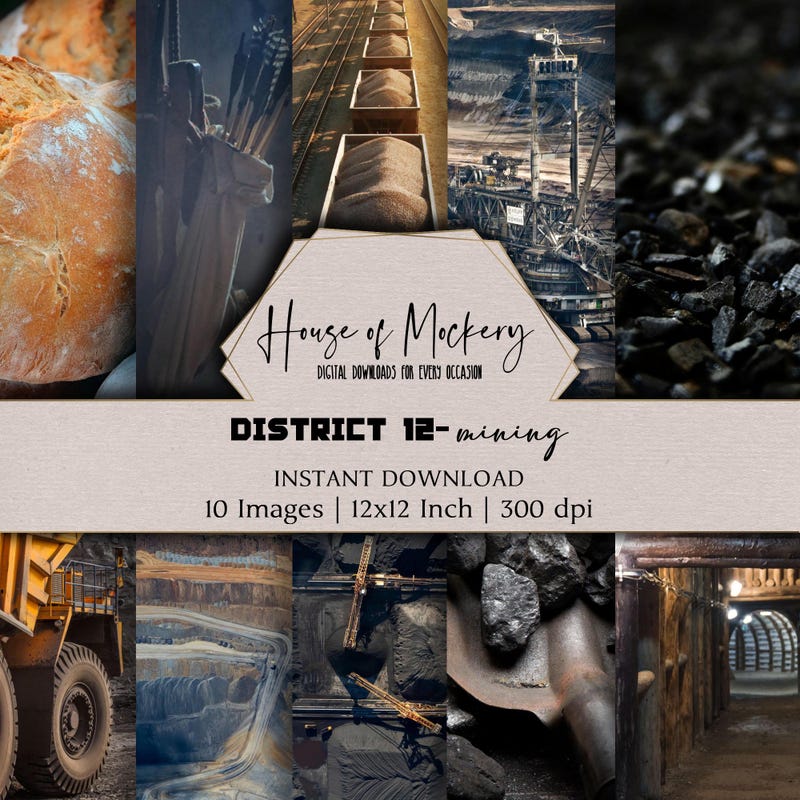 District 12 - Etsy