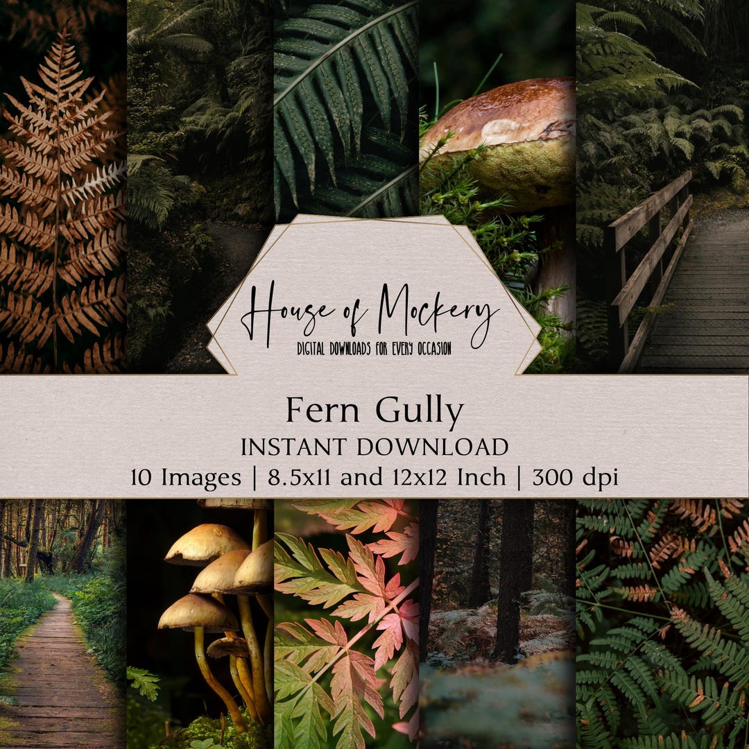 Fern Gully Digital Paper Kit 8.5x11 and 12x12 Inch, 10 Digital INSTANT ...