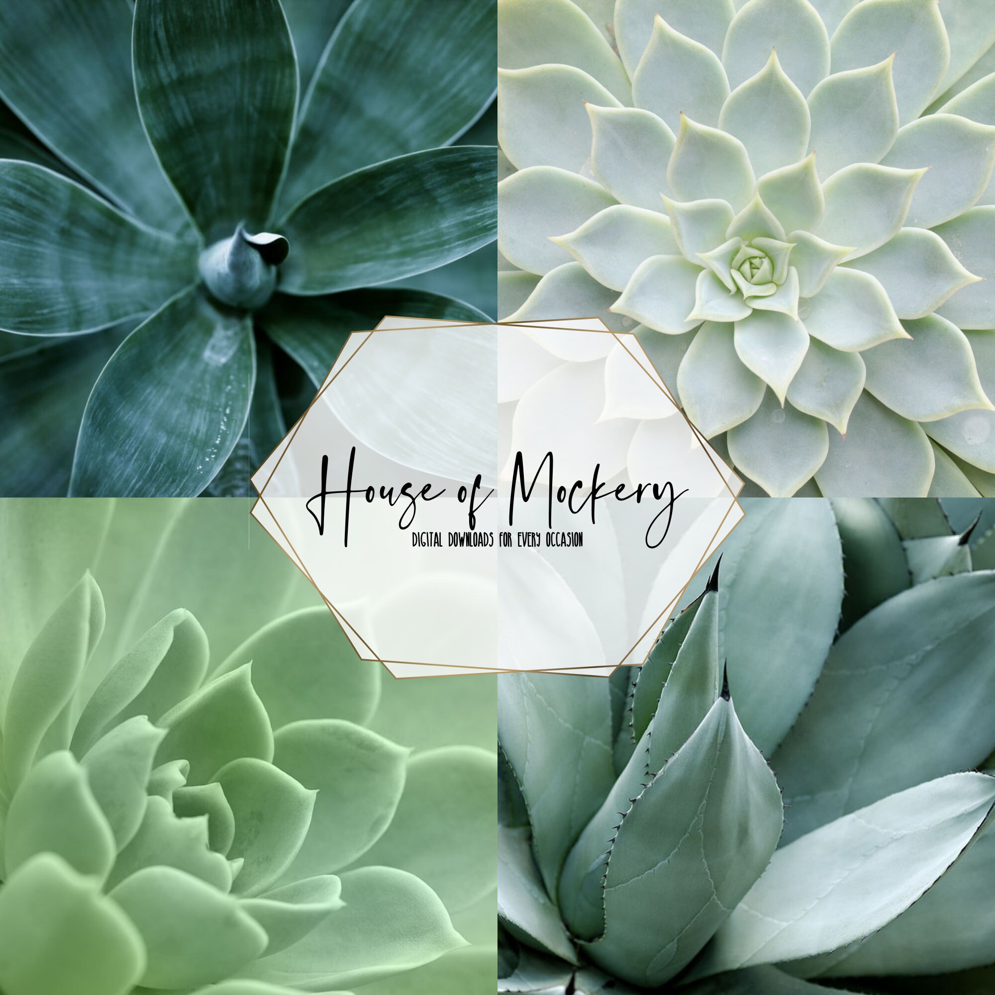 Soft Succulents Digital Scrapbook Paper Kit 8.5x11 and 12x12 - Etsy