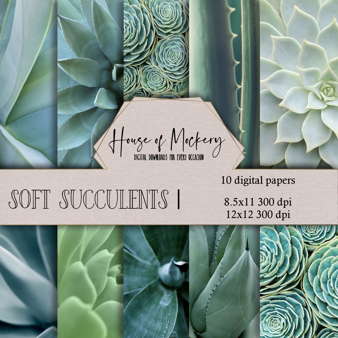 Soft Succulents Digital Scrapbook Paper Kit 8.5x11 and 12x12, 10 ...