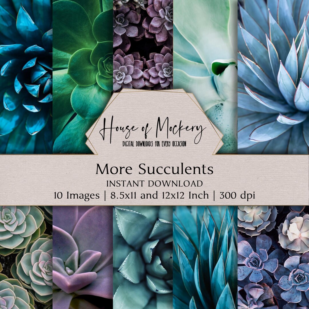 More Succulents Digital Paper Kit 8.5x11 and 12x12 Inch, 10 Digital ...