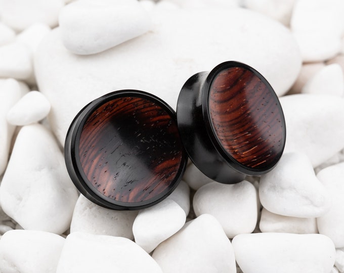 Black Ear Plugs With Cocobolo Wood Inlaid, Ear Wood Plugs, Wood Gauges ...