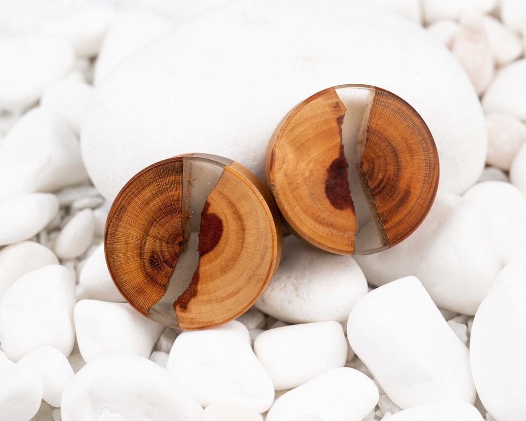 Pair of Ear Plugs, Wood Plugs, Wooden Gauges, Wood Resin Plugs, 20mm ...
