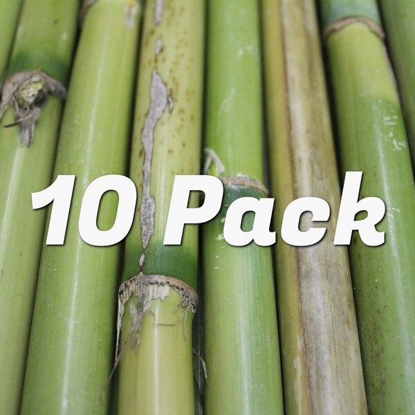 Bamboo Poles for Tree - Etsy