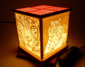 Lithophane Light Box - Etsy