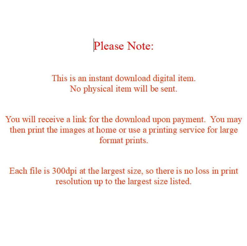 The Last Supper by Sebastiano Ricci 1713/1714 Oil on Canvas Printable ...