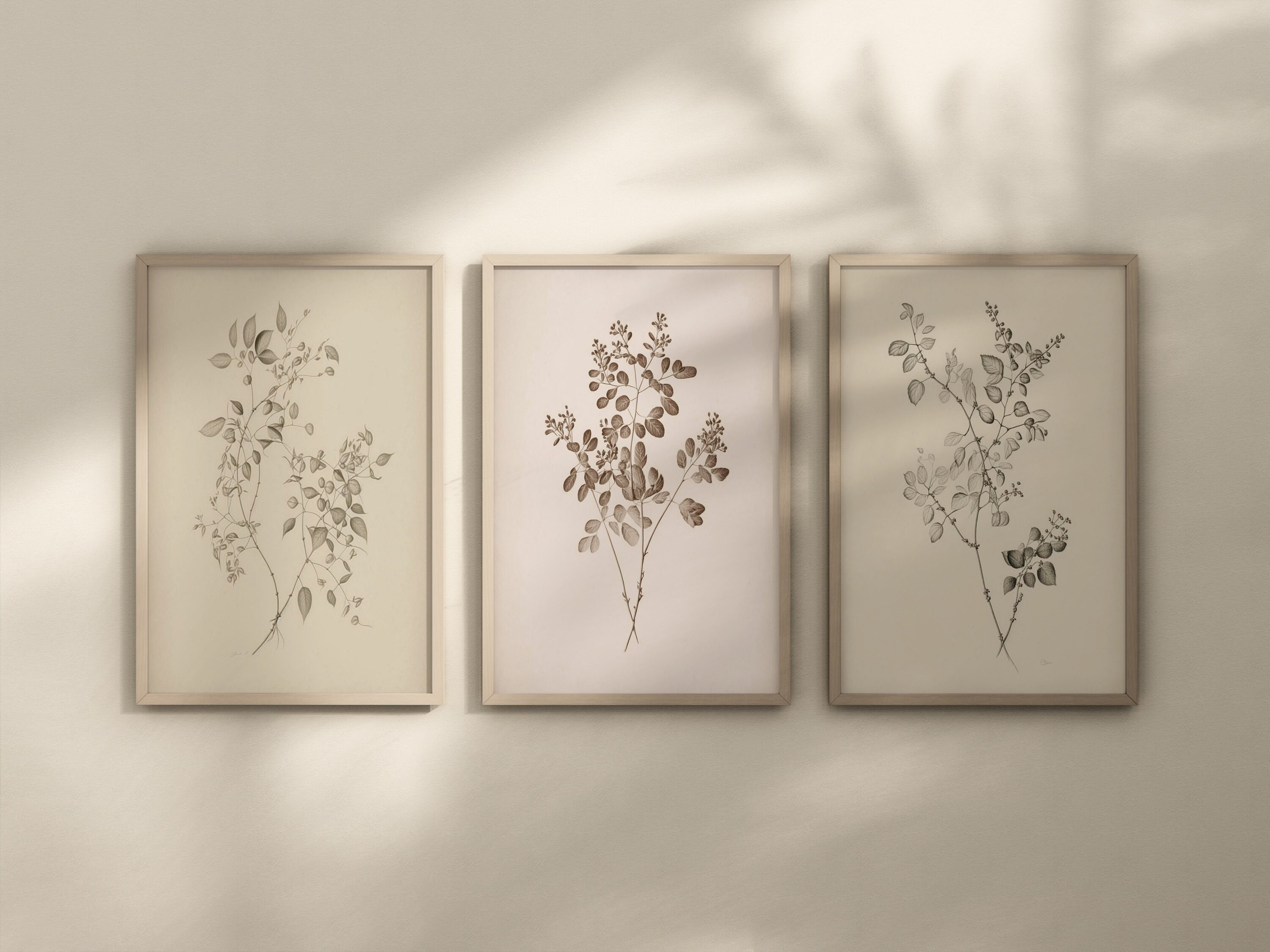 Botanical Illustrations Printable Wall Decor - Floral Drawing Art Set ...
