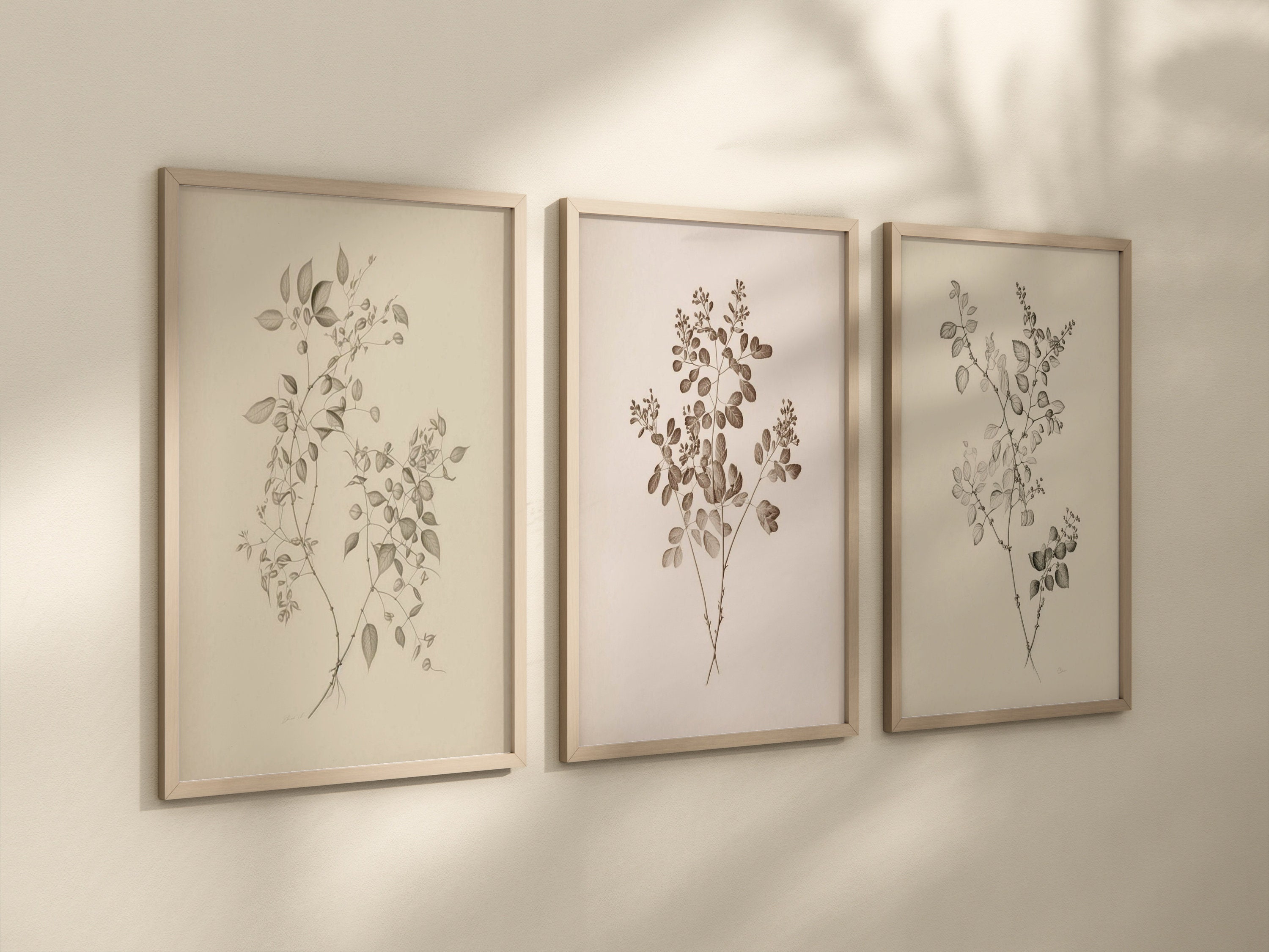 Botanical Illustrations Printable Wall Decor - Floral Drawing Art Set ...