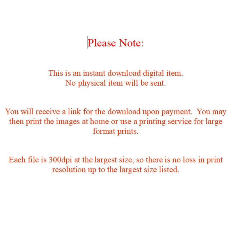 Vintage Charcoal Drawing of Woman, Mrs. Charles Badham by Jean Auguste ...