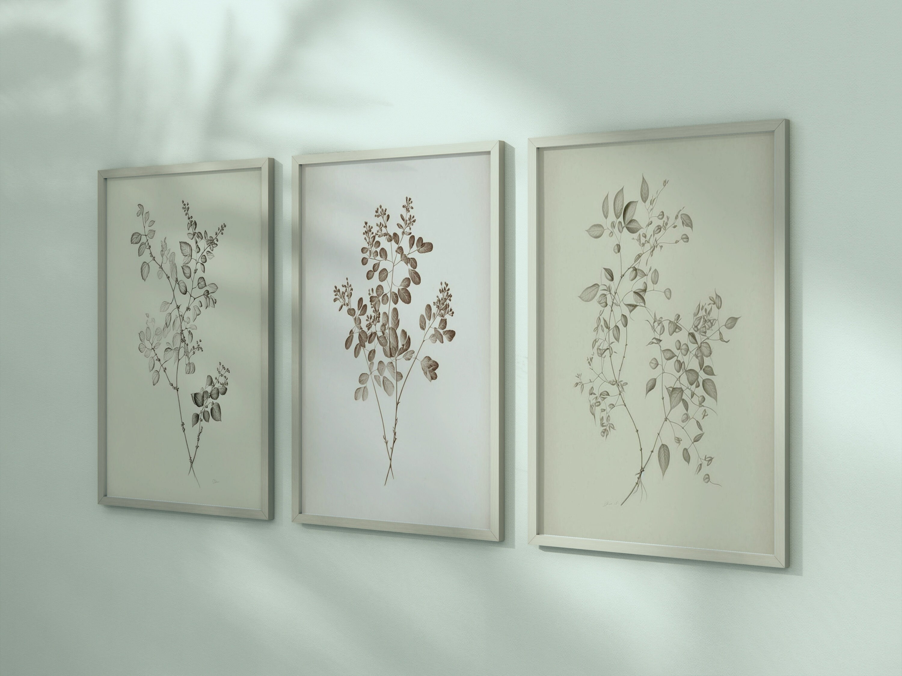 Botanical Illustrations Printable Wall Decor - Floral Drawing Art Set ...
