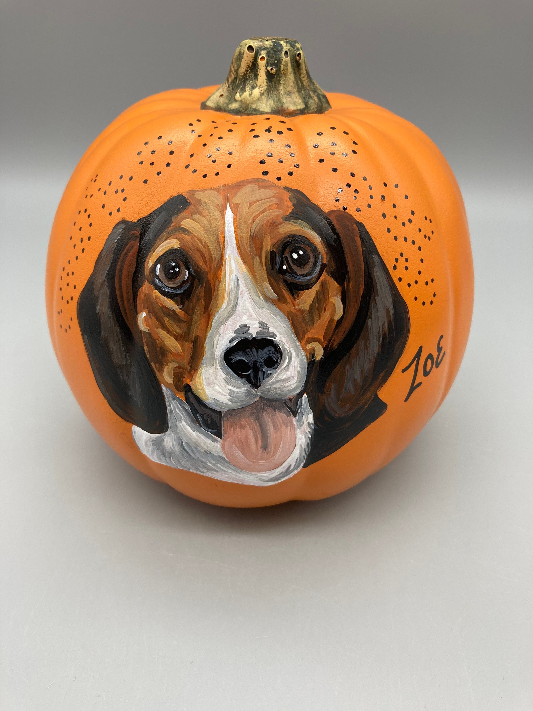 Custom Beagle Painted Pumpkin, Personalized Customized Art, Acrylic Dog ...