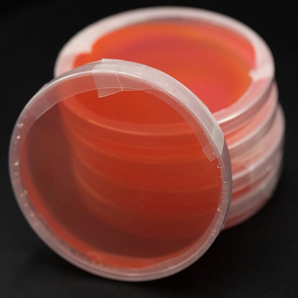 Pre Poured Agar Plates - Etsy