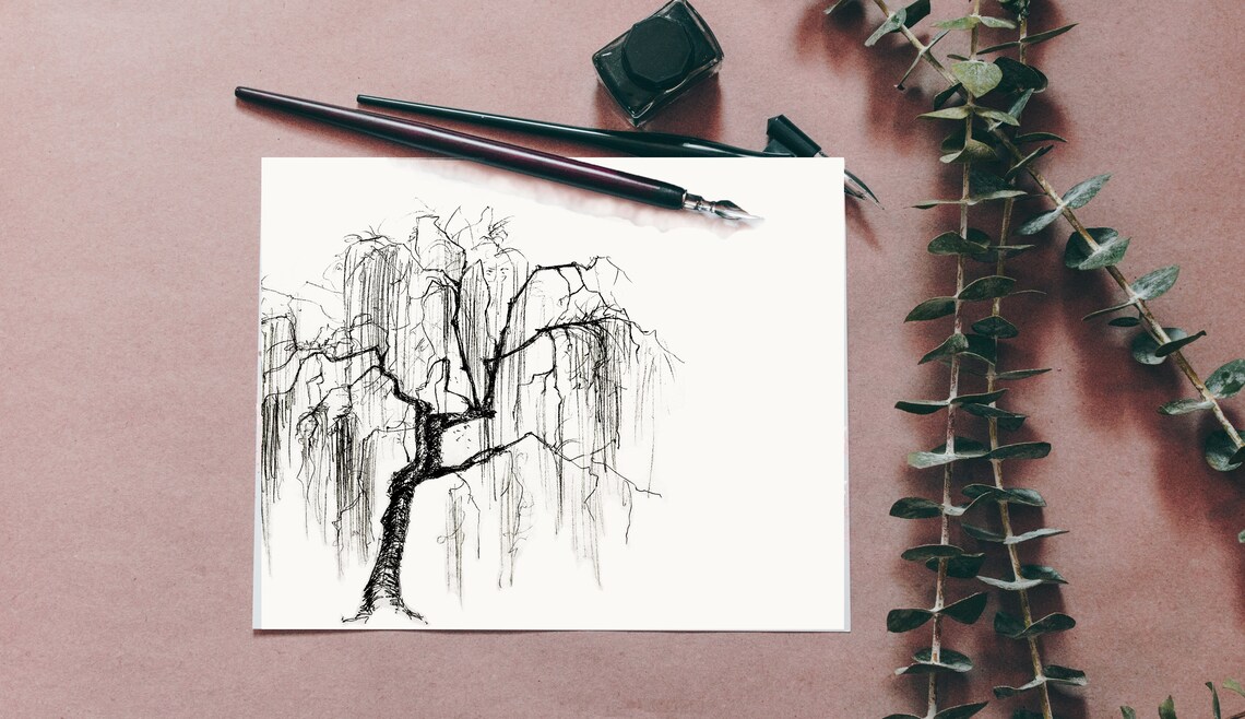 Willow Trees Art Sketches PNG Hand Drawn Haunted Forest - Etsy