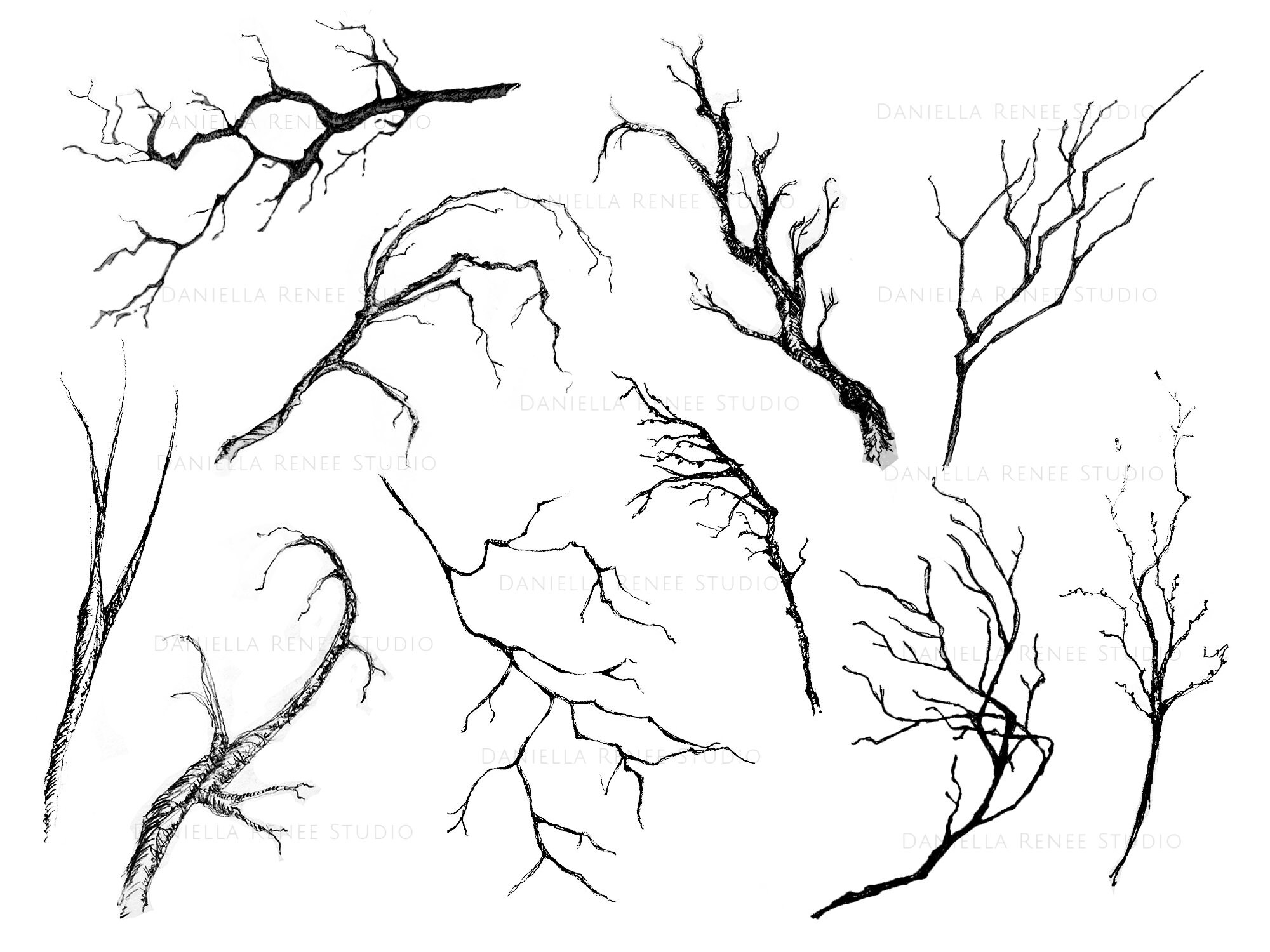 Black Tree Branches PNG Clipart, Haunted Forest, Spooky Branch ...
