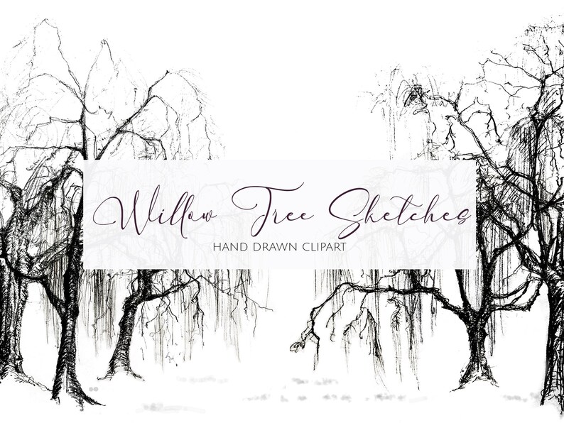 Willow Trees Art Sketches PNG, Hand Drawn Haunted Forest, Spooky ...