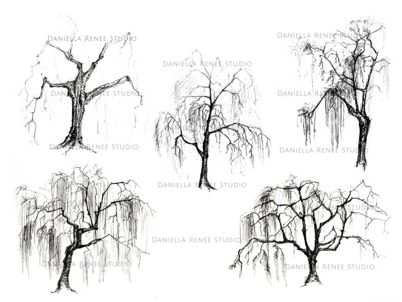 Willow Trees Art Sketches PNG, Hand Drawn Haunted Forest, Spooky ...