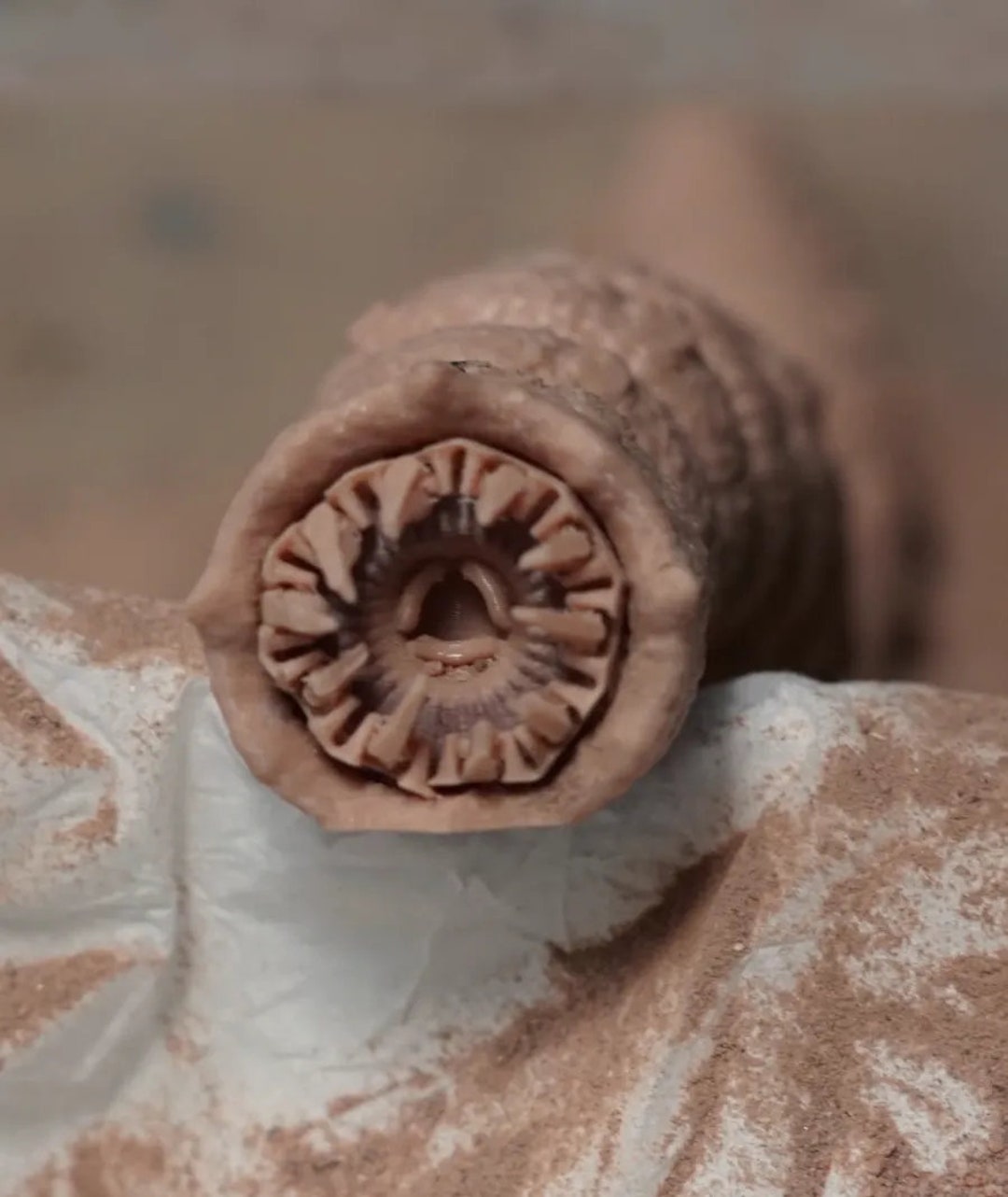 Flexible Articulated Dune Sandworm | 3D Printed Sandworm | Dune ...