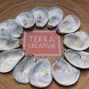 Oyster Shells for Creativity. ~3,5 INCH. DIY. 12 Pieces. - Etsy