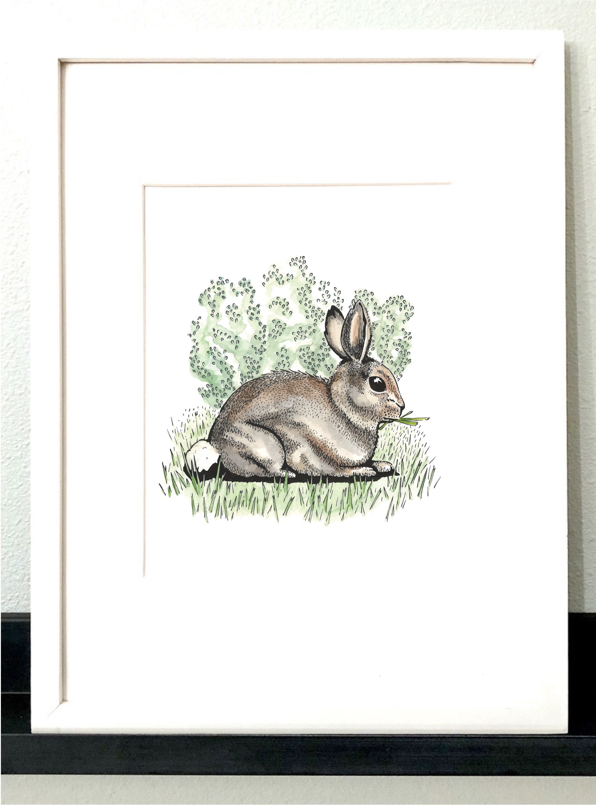 Bunny Rabbit Portrait, Animal Art Print, Water Color/pen/ink, Wild ...