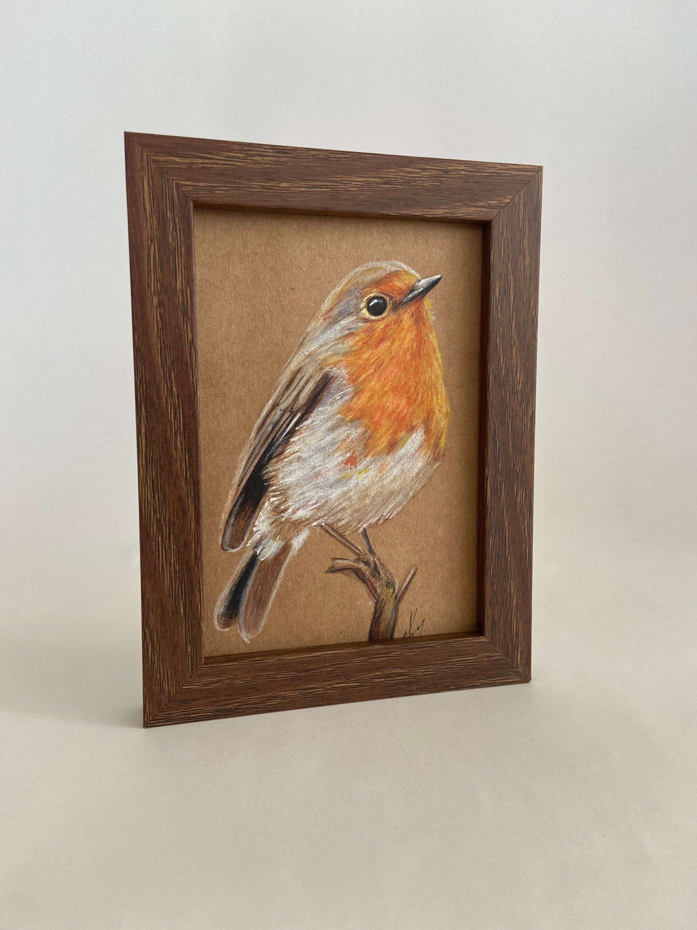 Cute Robin Drawing