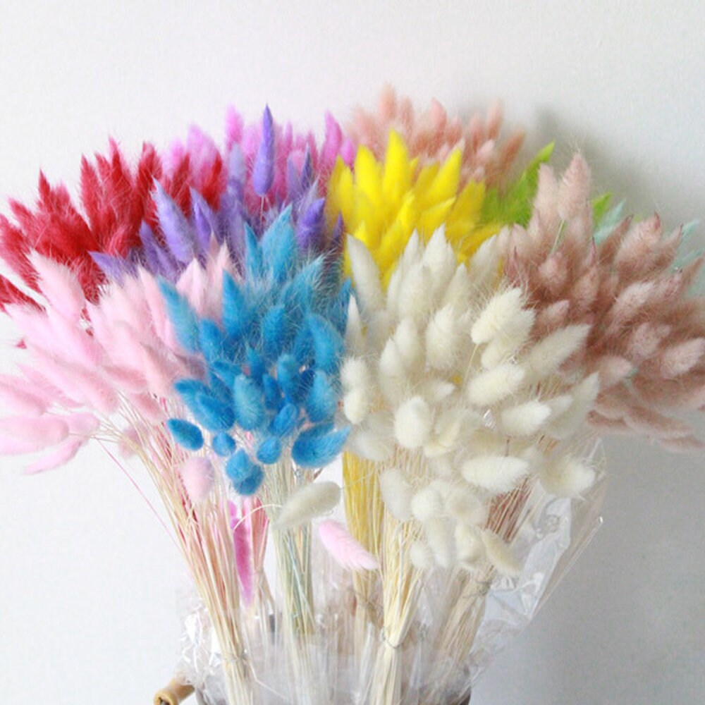 Pack of 50 Bunny Tail Artificial Flowers High Quality - Etsy