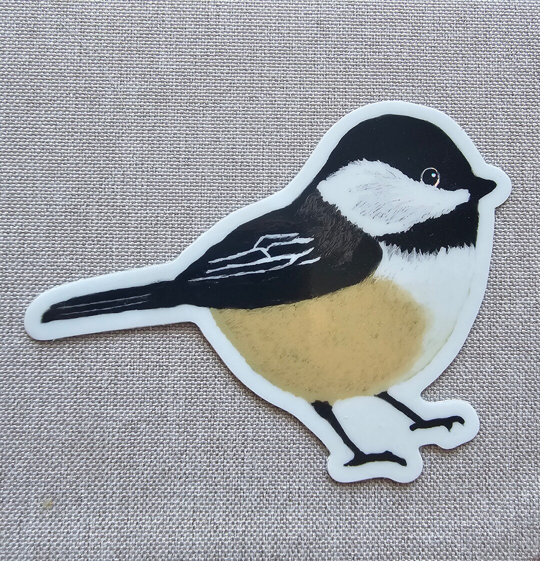 Black Capped Chickadee Vinyl Sticker | Bird Nerd Gift | Bird Gift ...