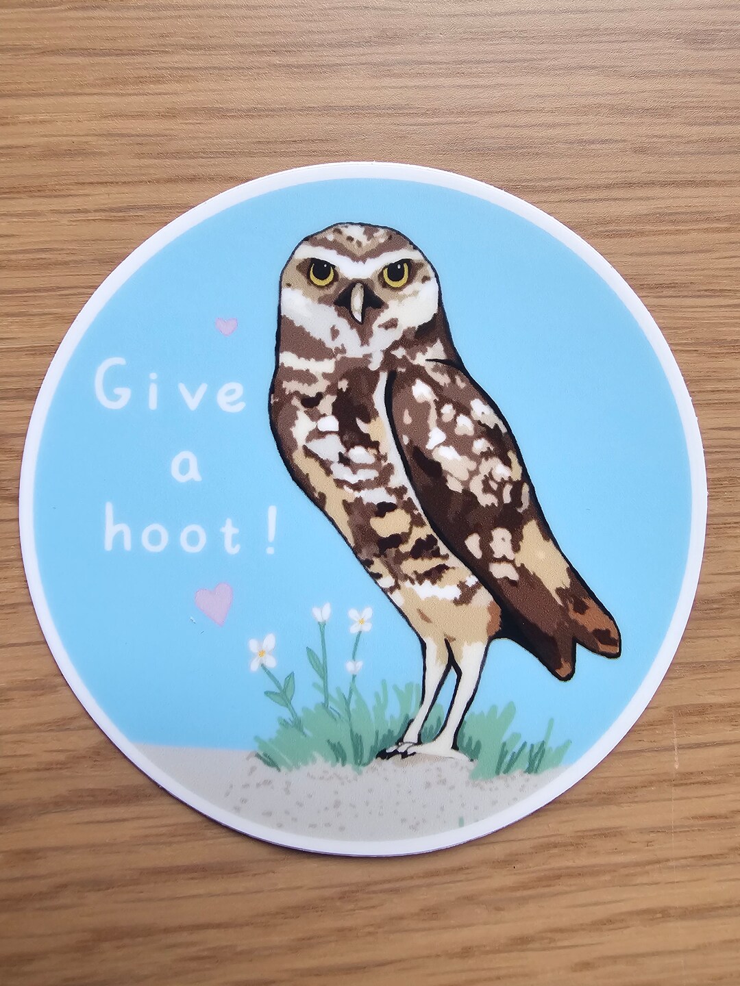 Burrowing Owl Give A Hoot Vinyl Sticker | Owl Sticker | Burrowing Owl ...
