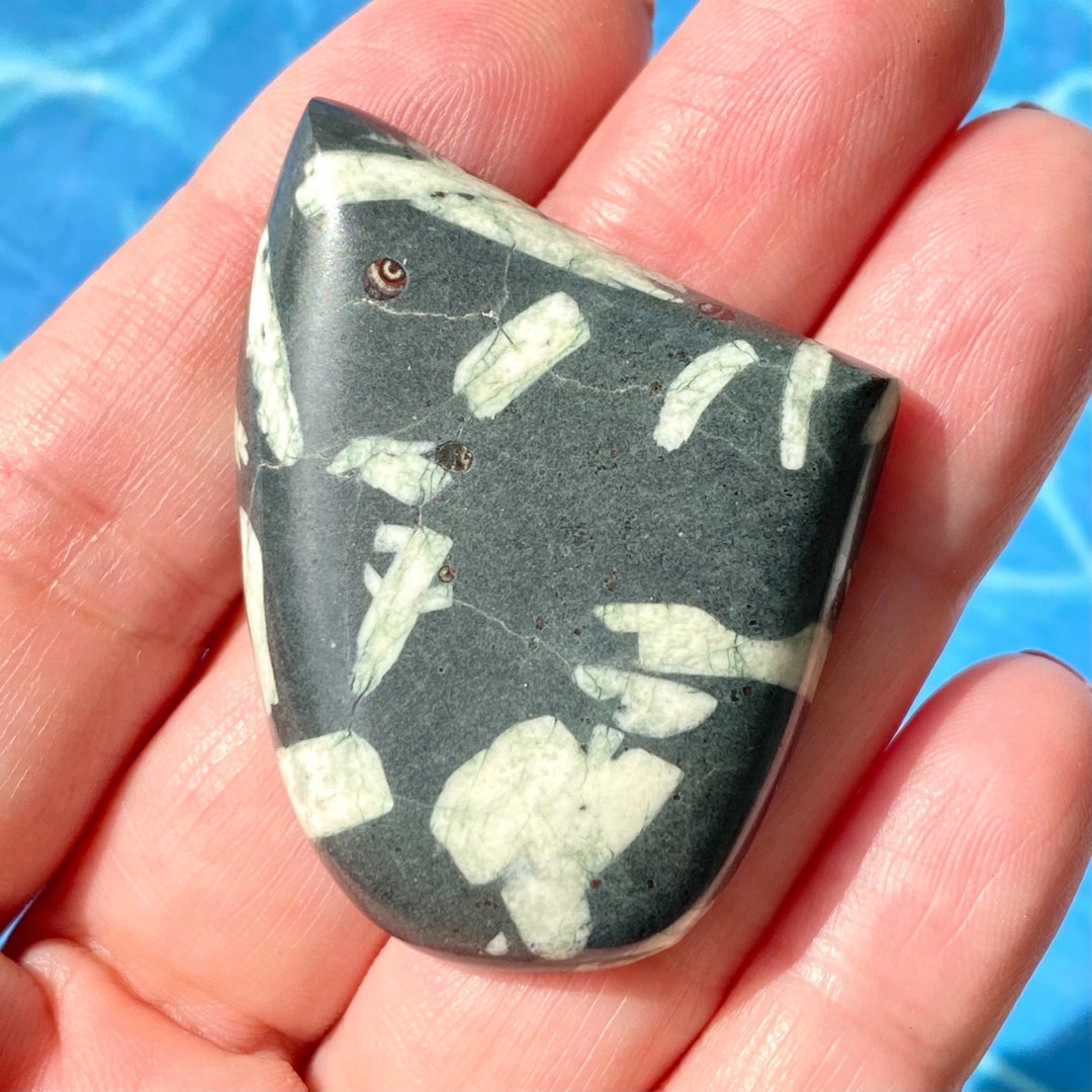 Chinese Writing Stone Jasper Freeform Shield 45x38 Mm Cabochon Gemstone ...