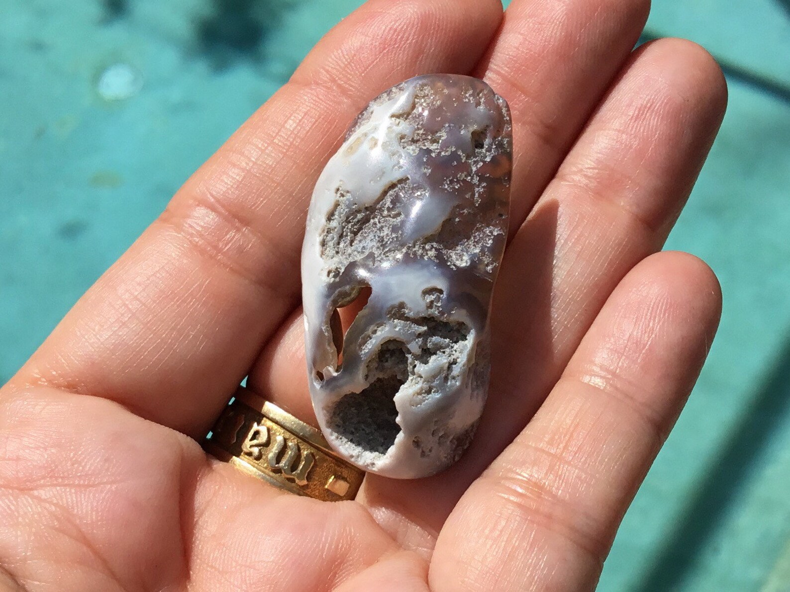 Agatized Tampa Bay Fossil Coral Fossilized Coral Agate - Etsy