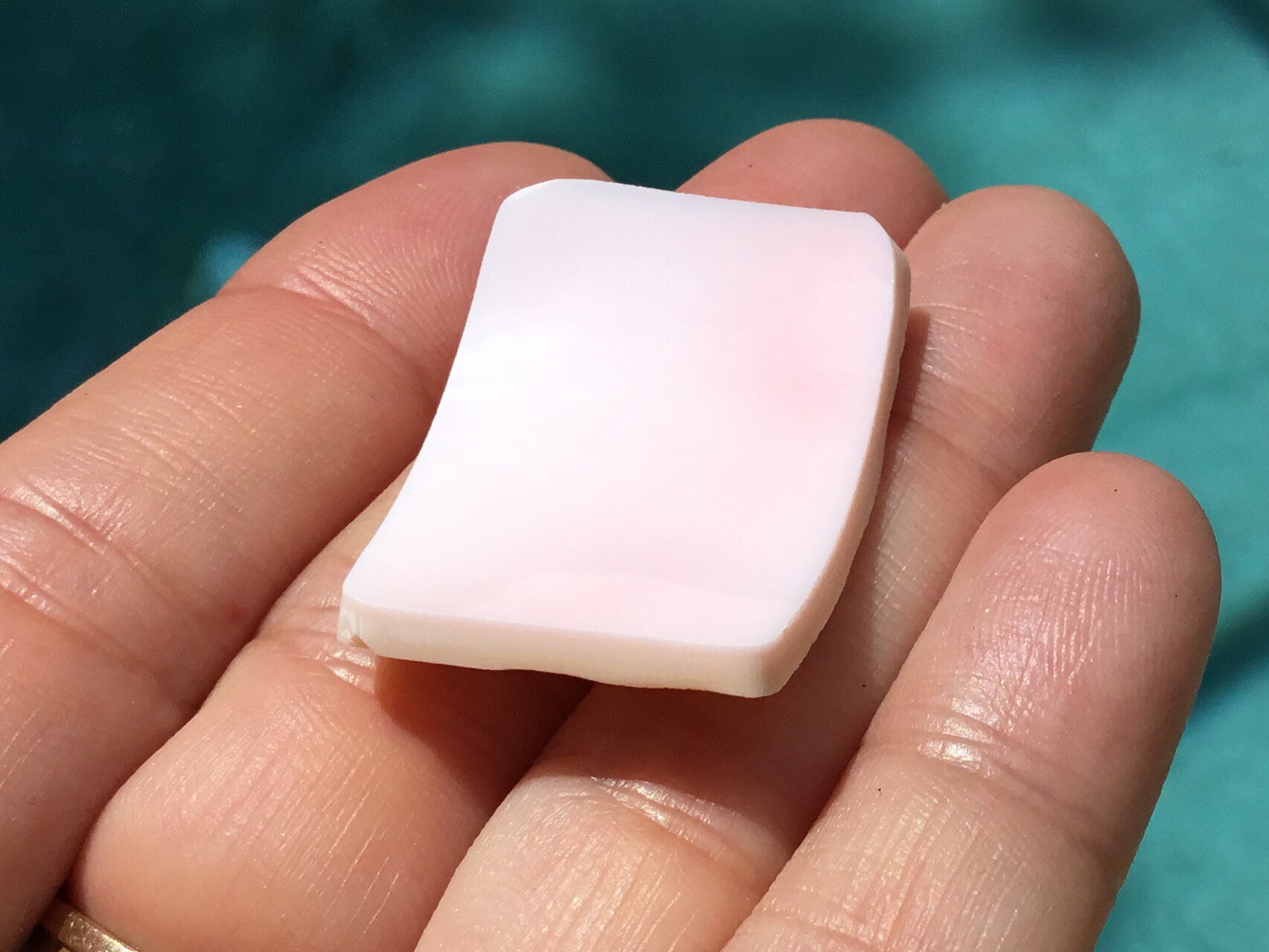 Pink Natural Queen Conch Shell 32x23 mm Cabochon Gemstones for | Etsy