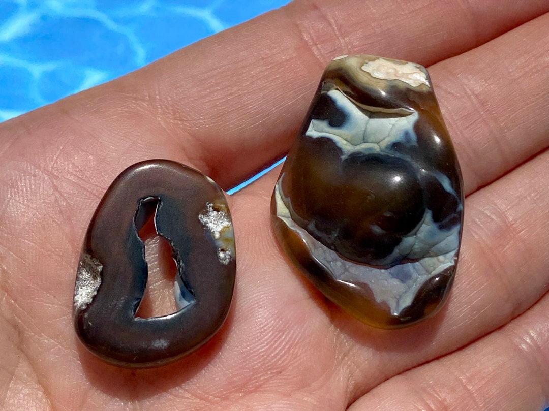 Tampa Bay Coral Agatized Coral Fossils, 2 Agate Set of Cabochon ...