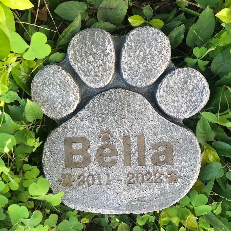 Pet Stone - Etsy