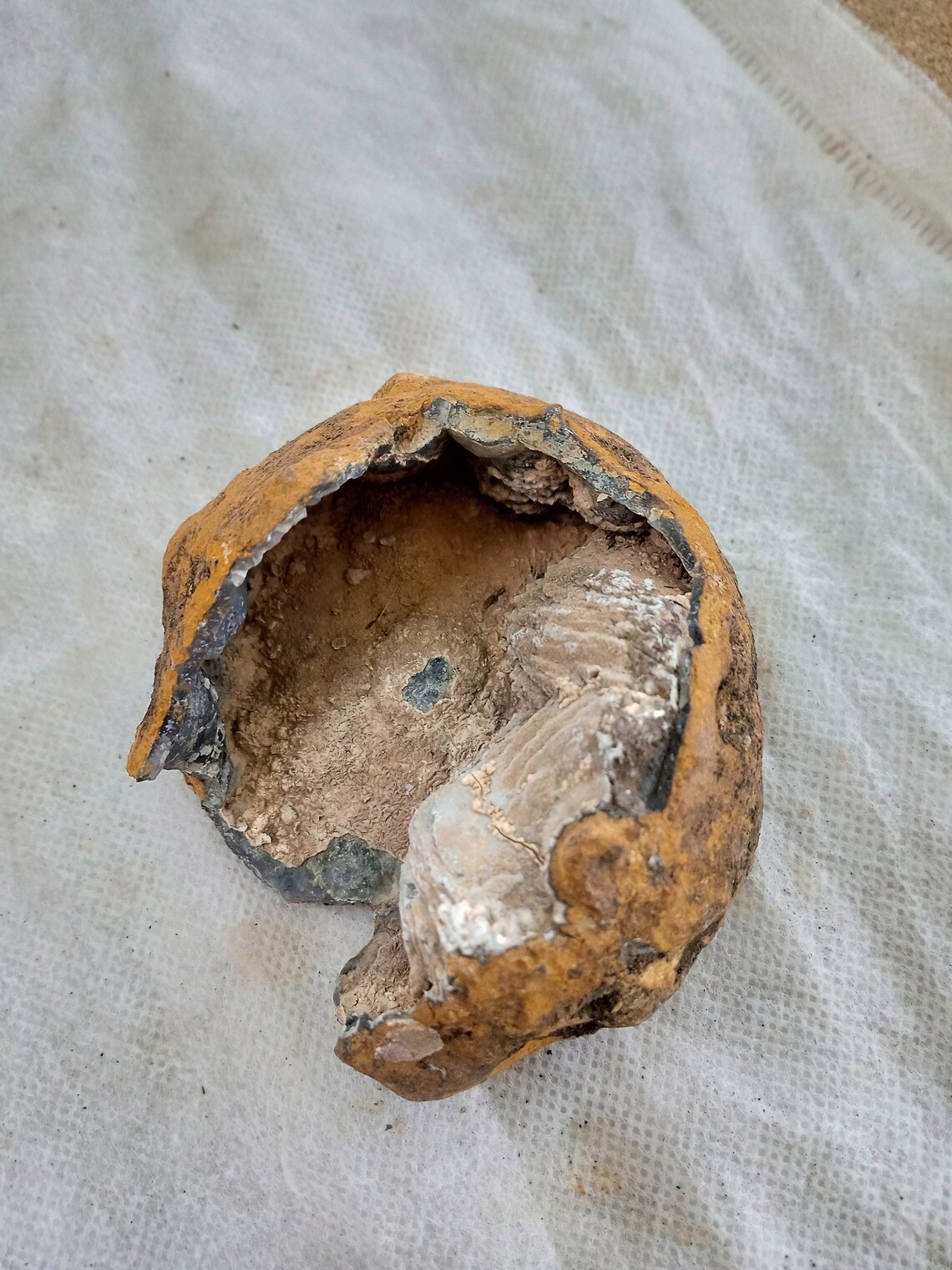 Desert Rose Gypsum Geode Rough Mineral Specimen With Blue - Etsy