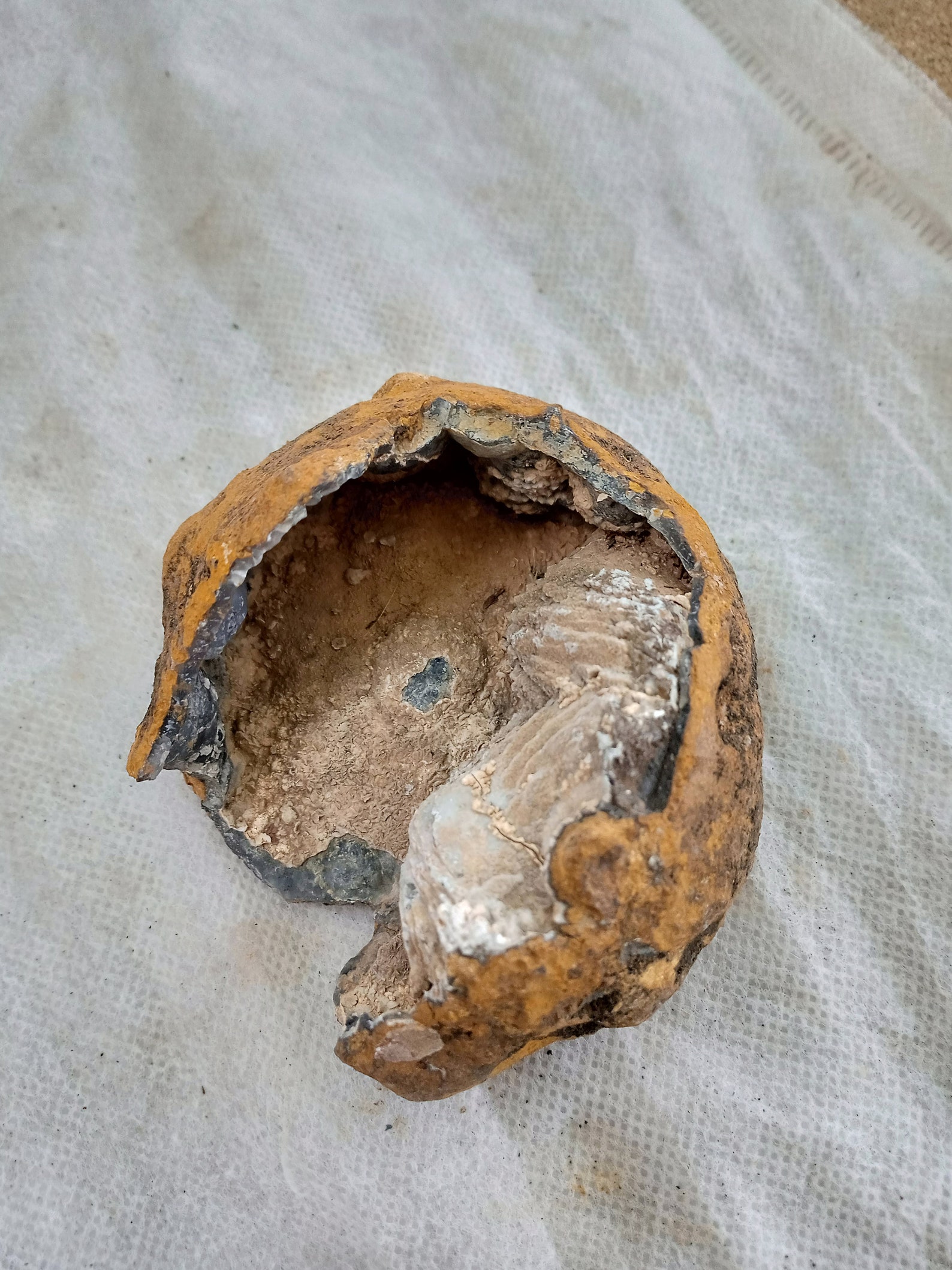 Desert Rose Gypsum Geode Rough Mineral Specimen With Blue - Etsy