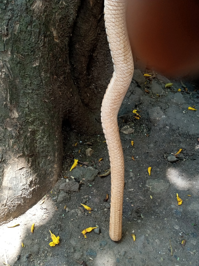 Blue Gum African Mamba Snake Original Hiking Walking Stick Cane ...