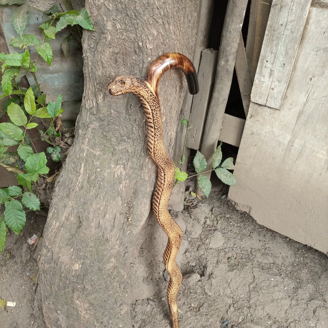 African Python Hook Handle Style Original Hiking Walking Stick Cane ...