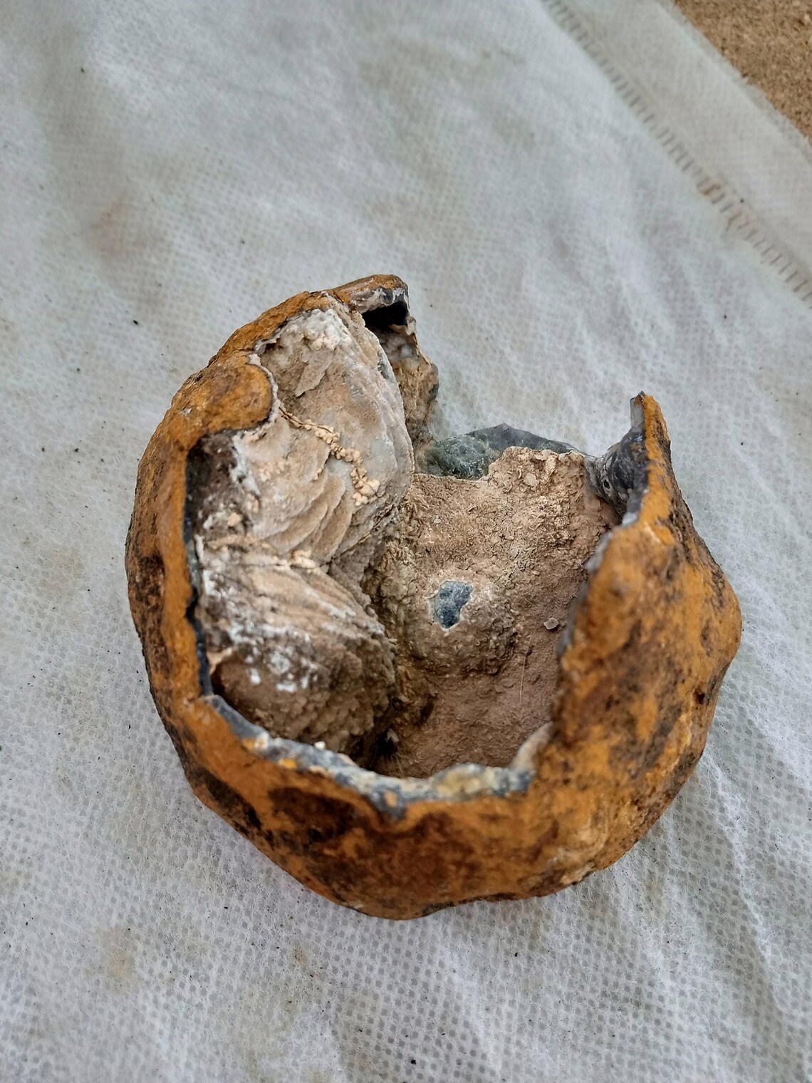 Desert Rose Gypsum Geode Rough Mineral Specimen With Blue - Etsy