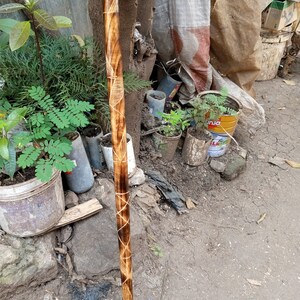 Original Jacaranda Blackwood Rosewood Hiking Walking Stick Cane ...
