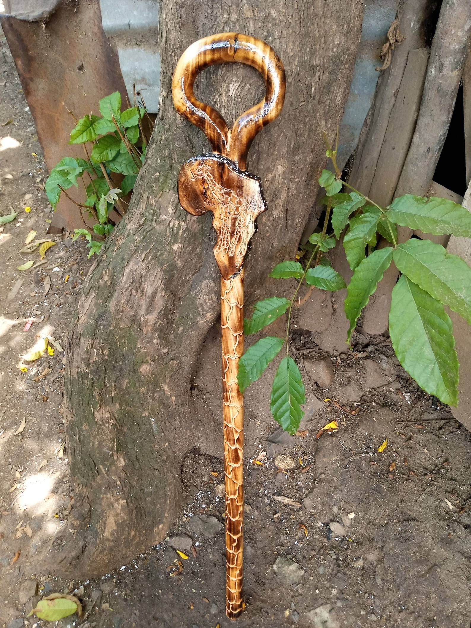 African Continent Original Hiking Walking Stick Cane Mobility Handmade ...