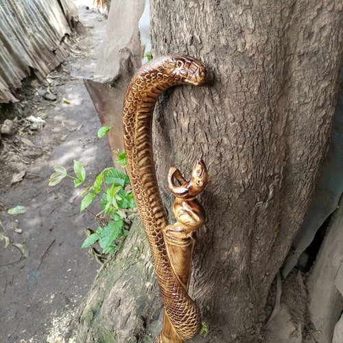 African Python Original Hiking Walking Stick Cane Handmade - Etsy