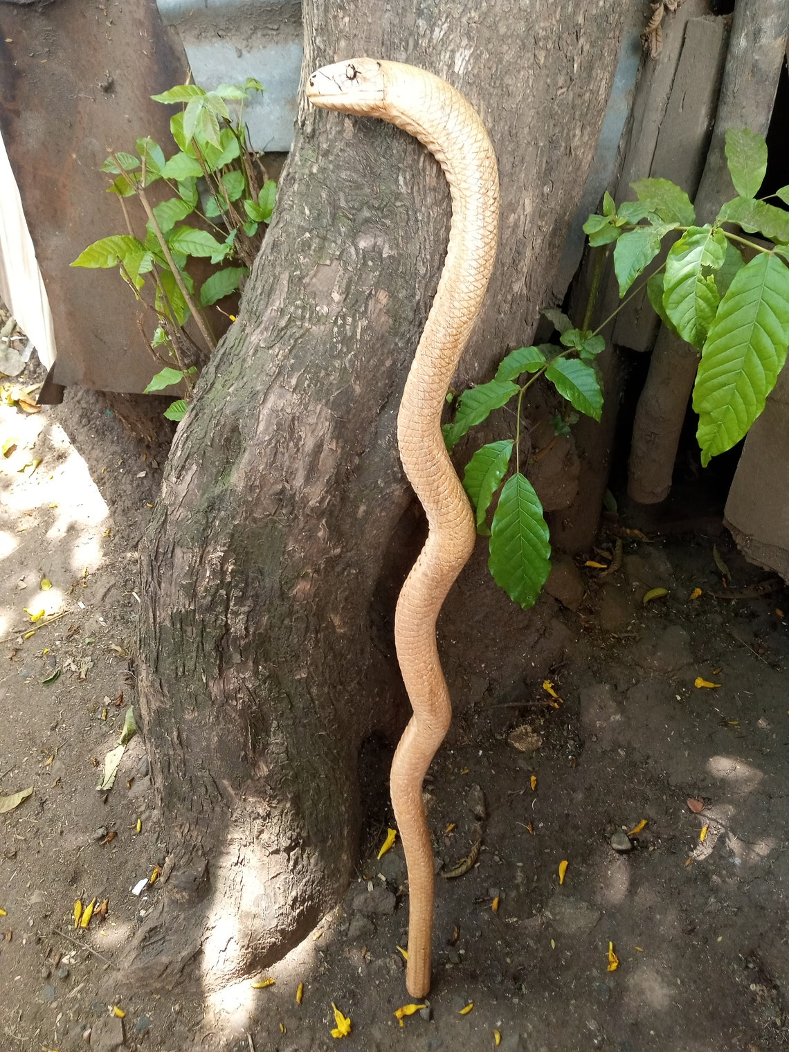 Blue Gum African Mamba Snake Original Hiking Walking Stick Cane ...